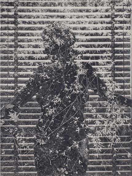 Harry Callahan | Double Exposure (Woods with Inset of Eleanor) (1953 ...