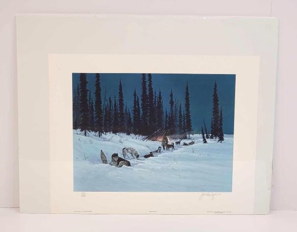 Jon Van Zyle | Good Night Pats | MutualArt