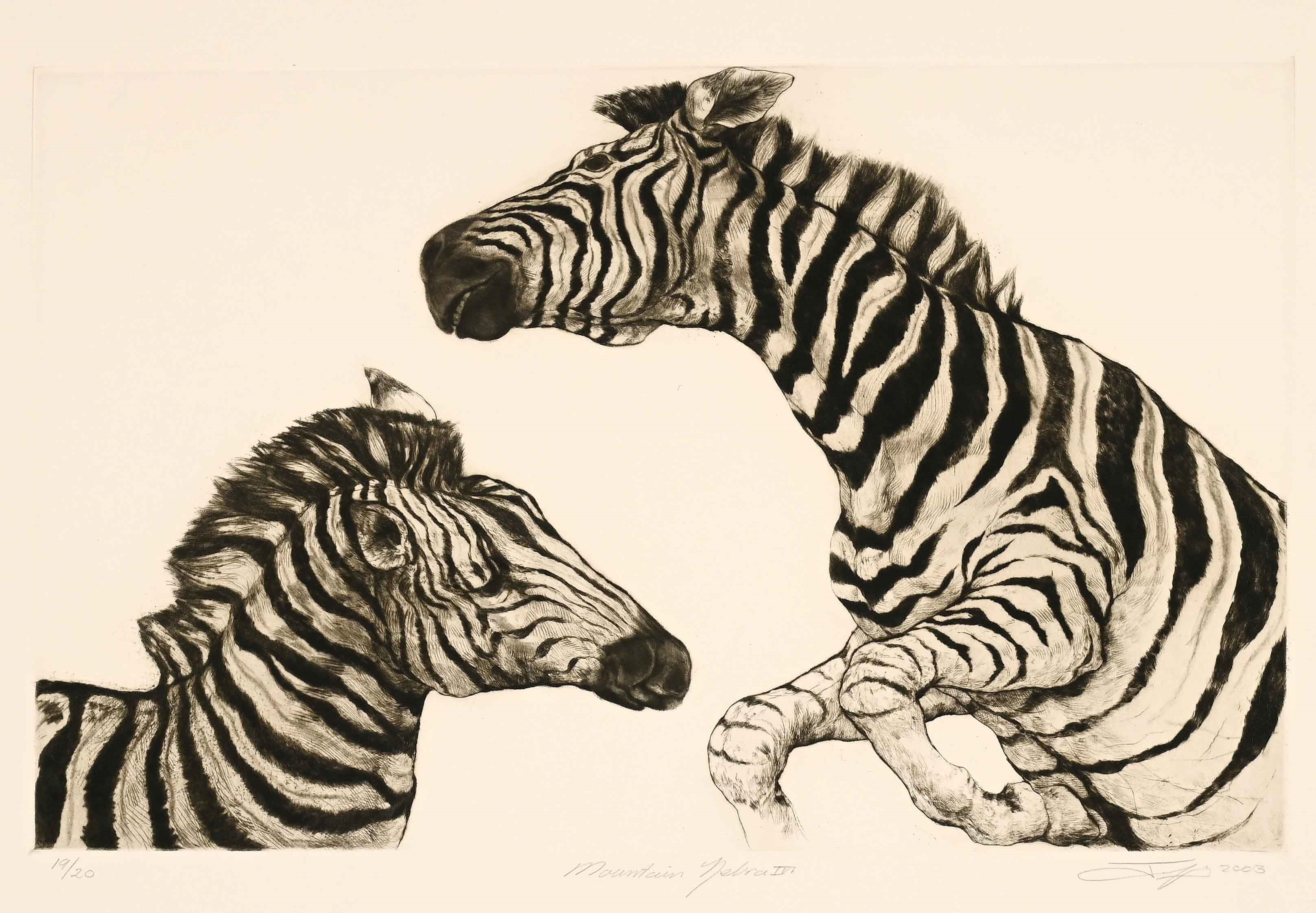 Jonathan Comerford | Six Works: Zebras (2008) | MutualArt