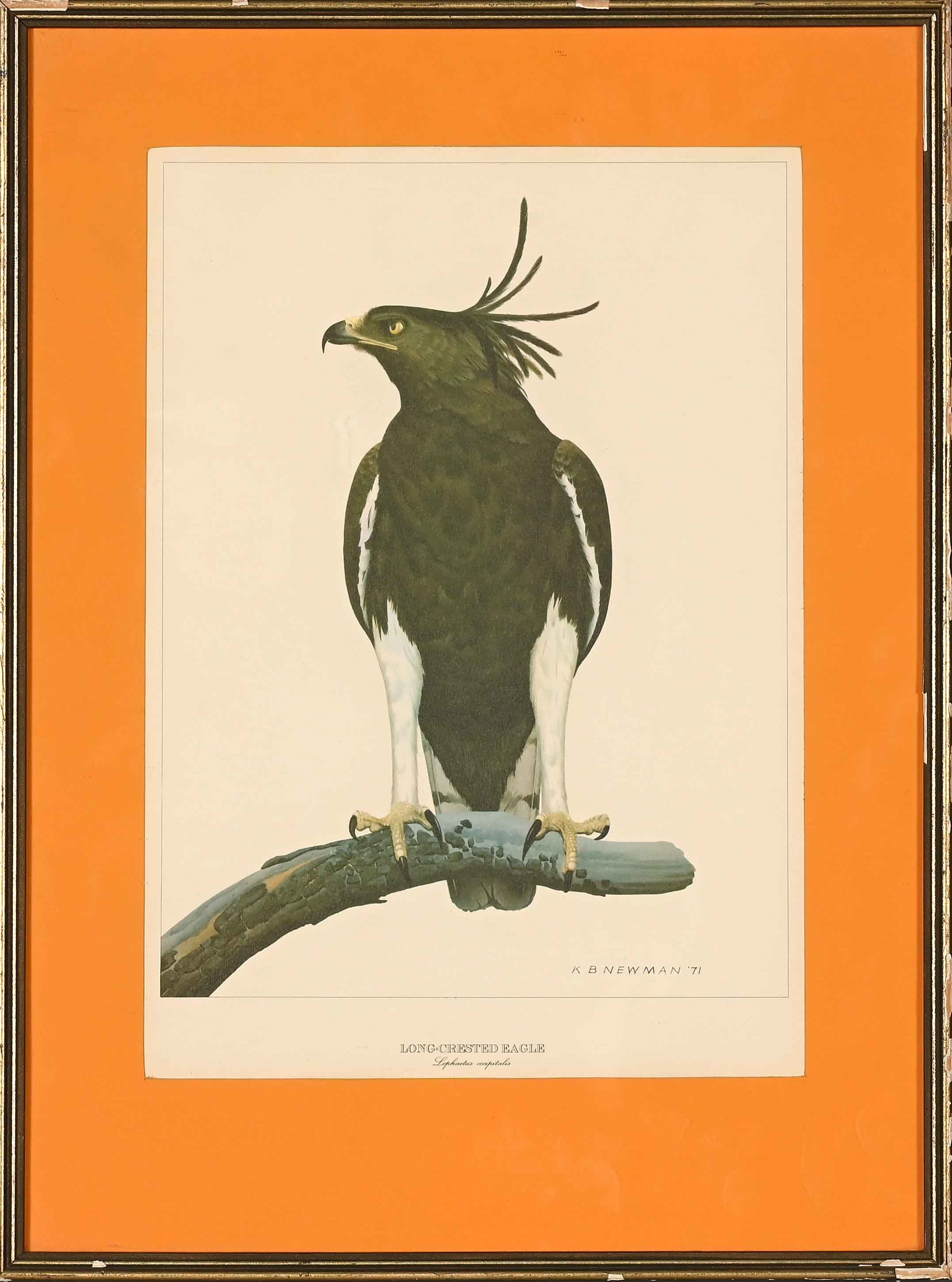 Kenneth Newman | Five Works | MutualArt