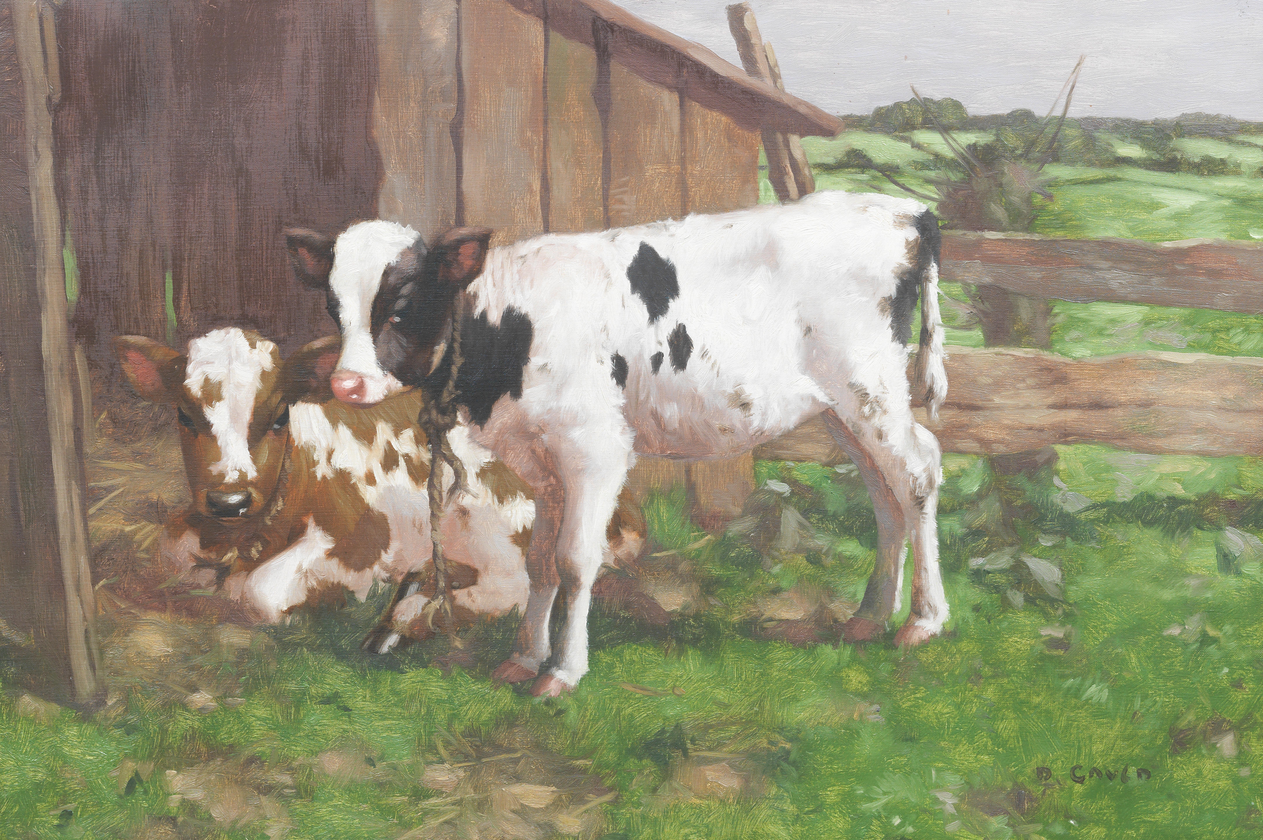David Gauld | Two Calves | MutualArt