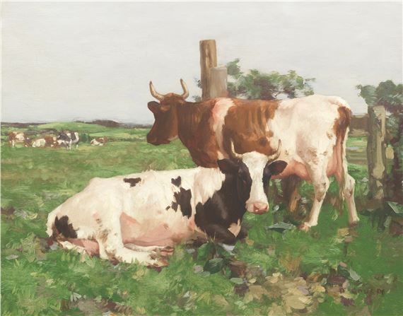 David Gauld | Ayrshire Cattle | MutualArt