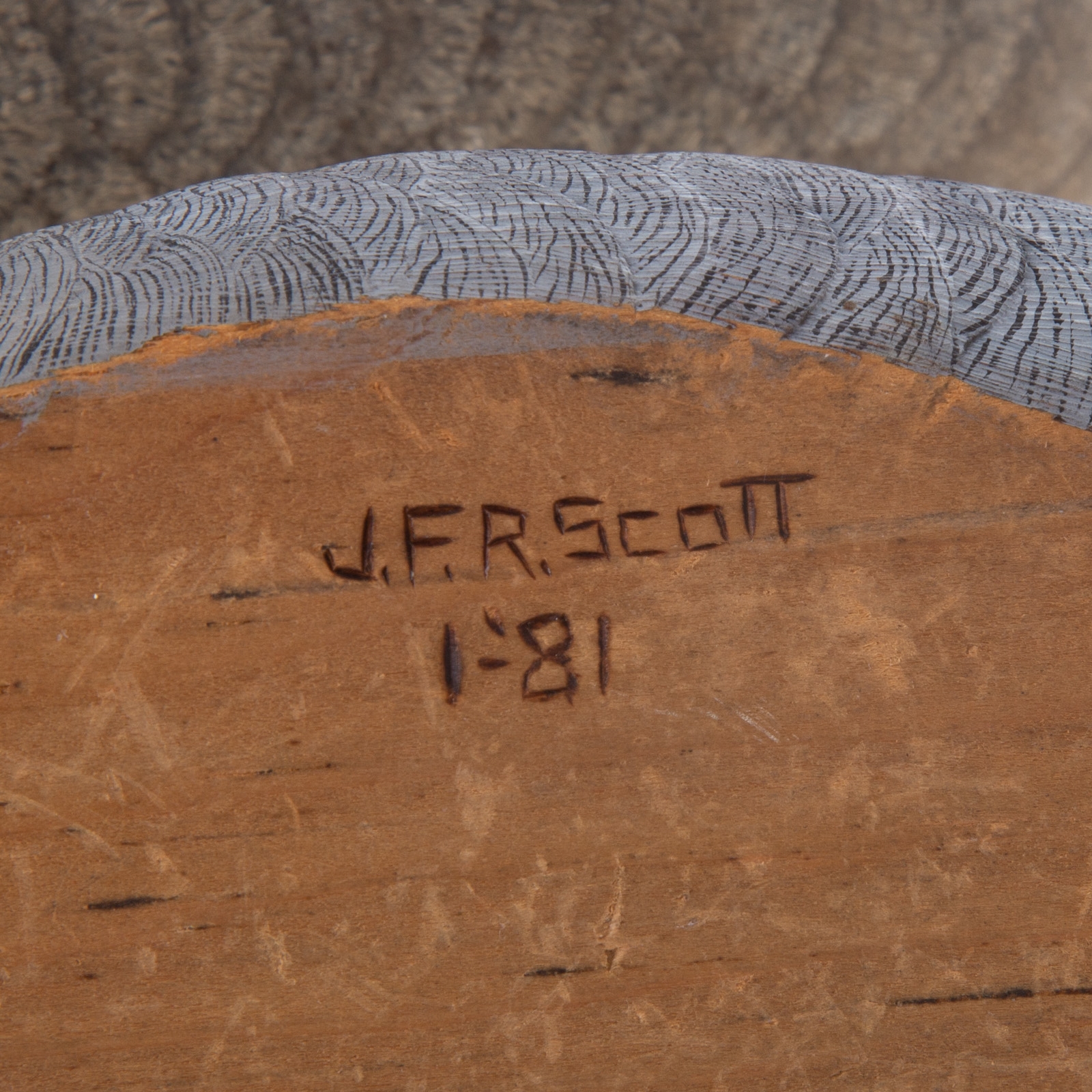 R. Scott | Primitive Shore Bird | MutualArt