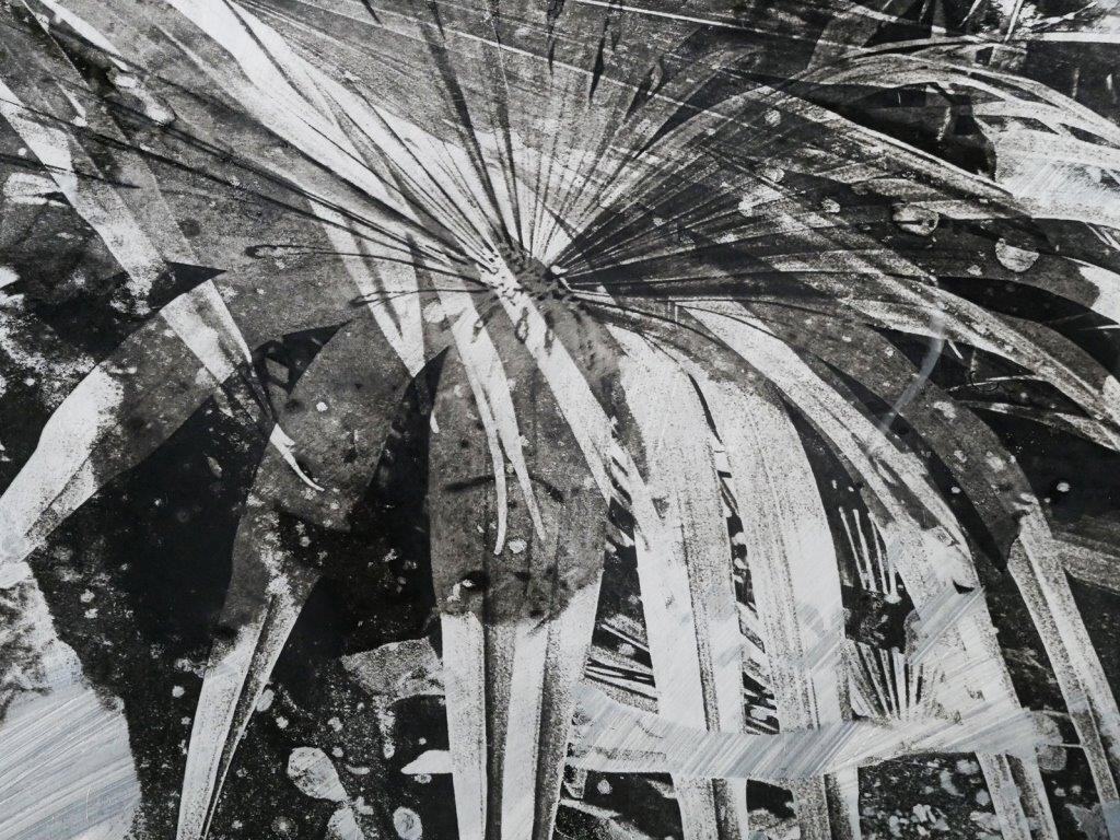 Darryl Pottorf | Look Out | MutualArt