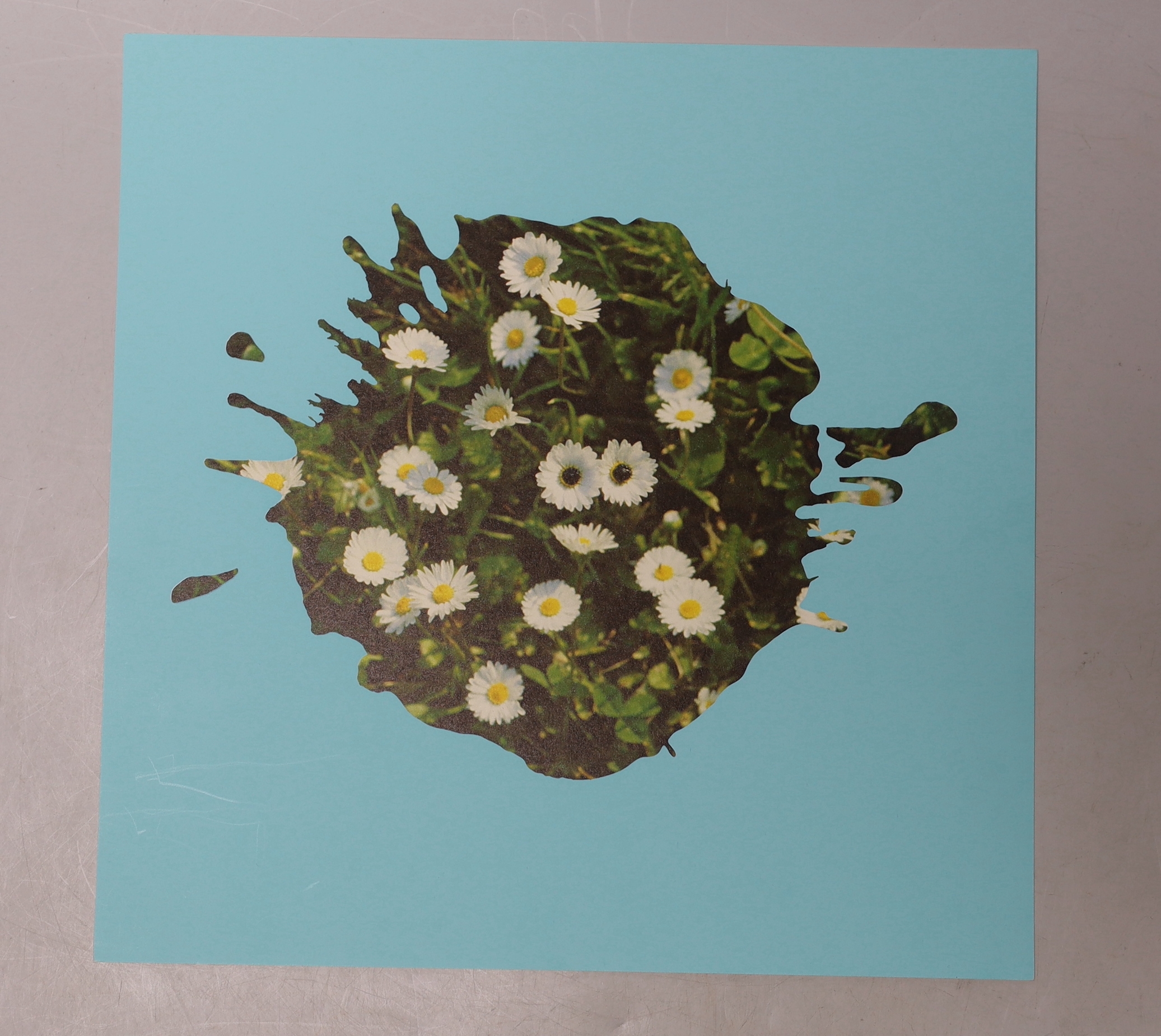 Helen Chadwick | 'Coitus' (93) | MutualArt