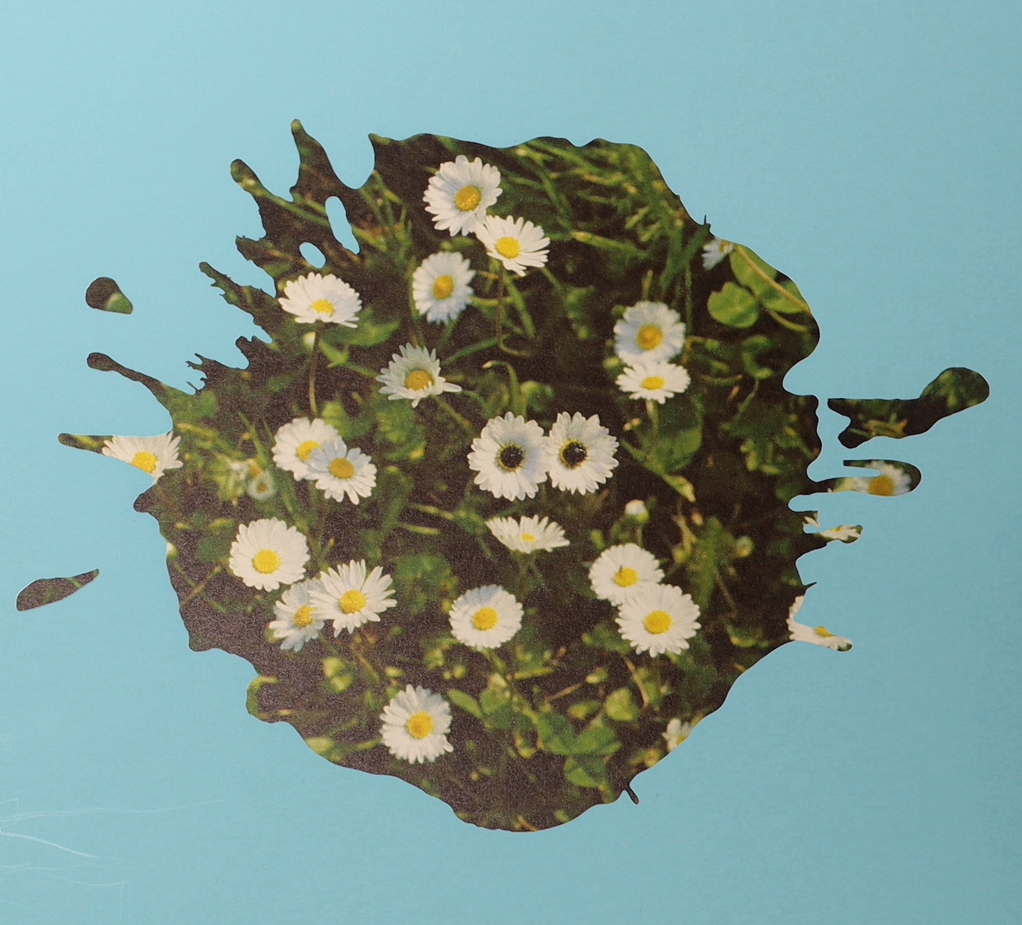 Helen Chadwick | 'Coitus' (93) | MutualArt