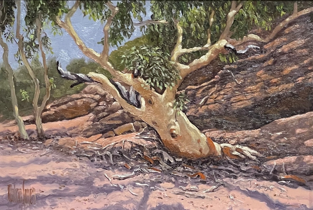 Michael Jones | Clinging to Life at Mutawintji | MutualArt