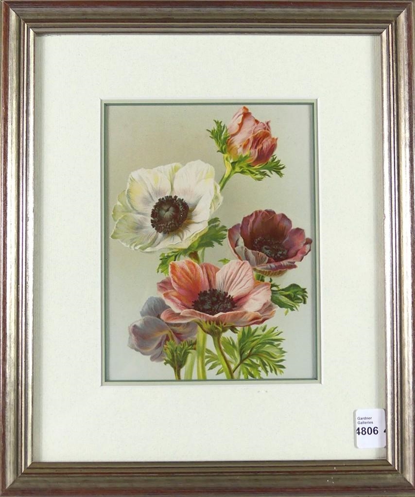 Ada Hansbury | Antique chromolithograph print | MutualArt