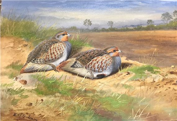 Philip Rickman | English Partridge | MutualArt
