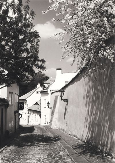 Alexander Hackenschmid | Žena z latinské čtvrti (1960) | MutualArt