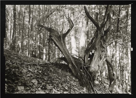 Petr Helbich | Mionší (1996) | MutualArt