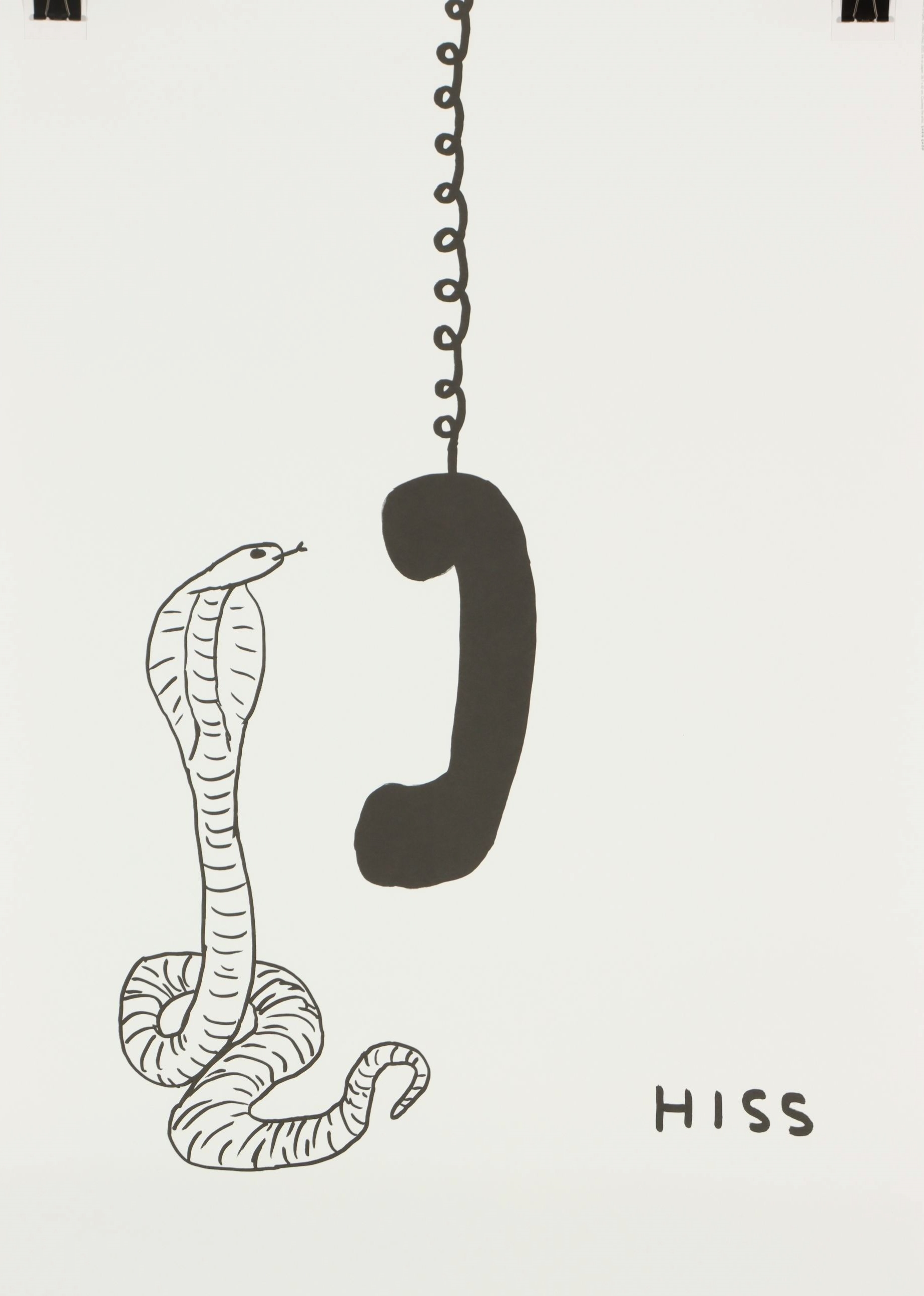 David Shrigley | Hiss | MutualArt