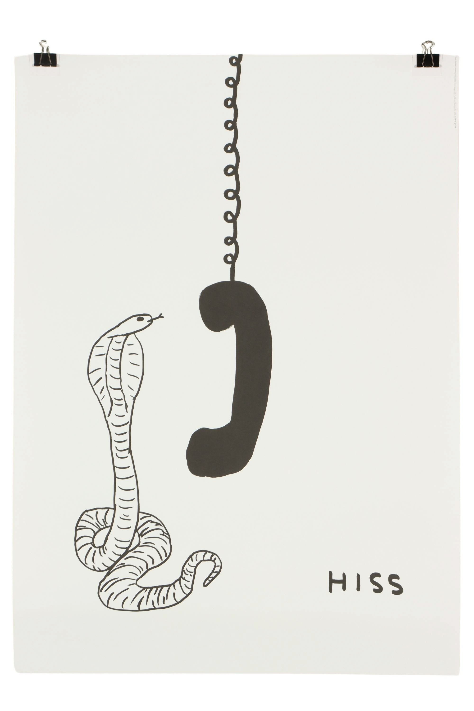 David Shrigley | Hiss | MutualArt