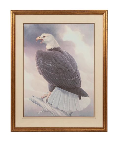 Athos Menaboni | American Bald Eagle | MutualArt