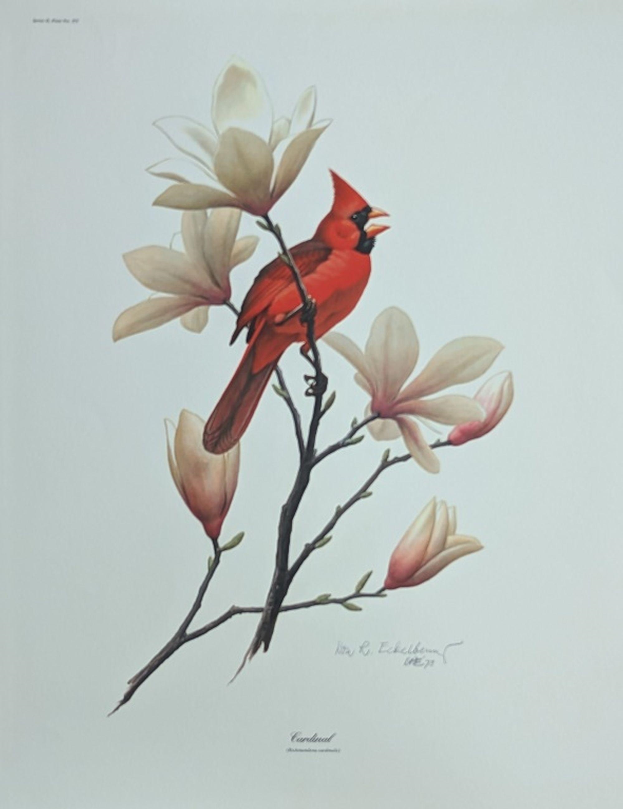 Don Richard Eckelberry | 7 Don Eckelberry Limited Edition Prints ...