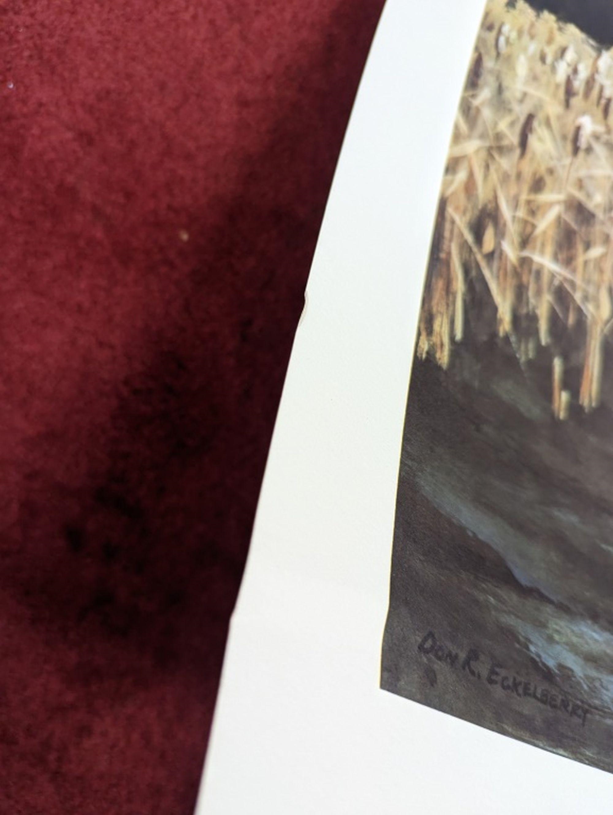 Don Richard Eckelberry | Black Ducks Over The Marsh; Great Black-backed ...