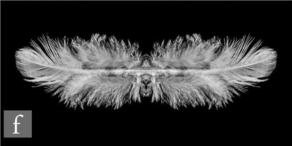 Graham Fudger | 3 Artworks at Auction | MutualArt