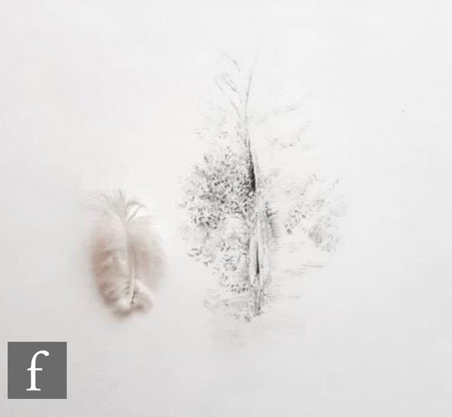 Sarah Goudie | Dove Feather | MutualArt
