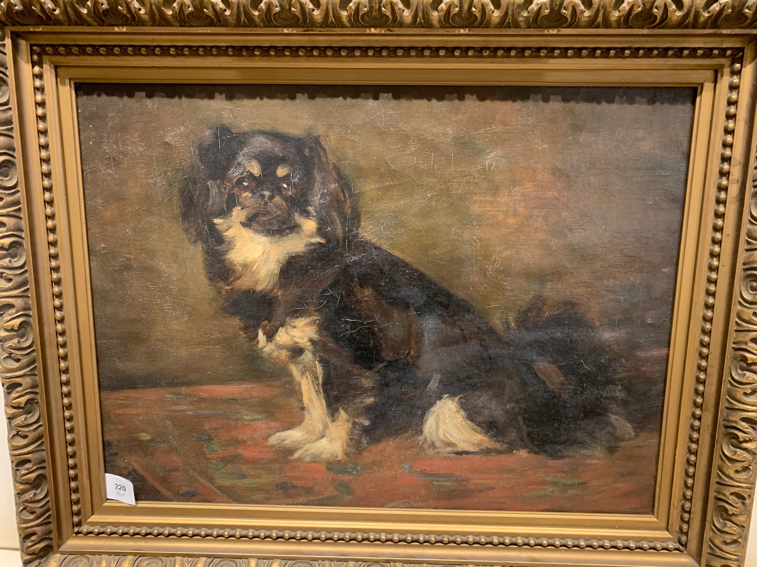 Samuel Fulton | A black and tan Pekingese resting on a Persian rug ...