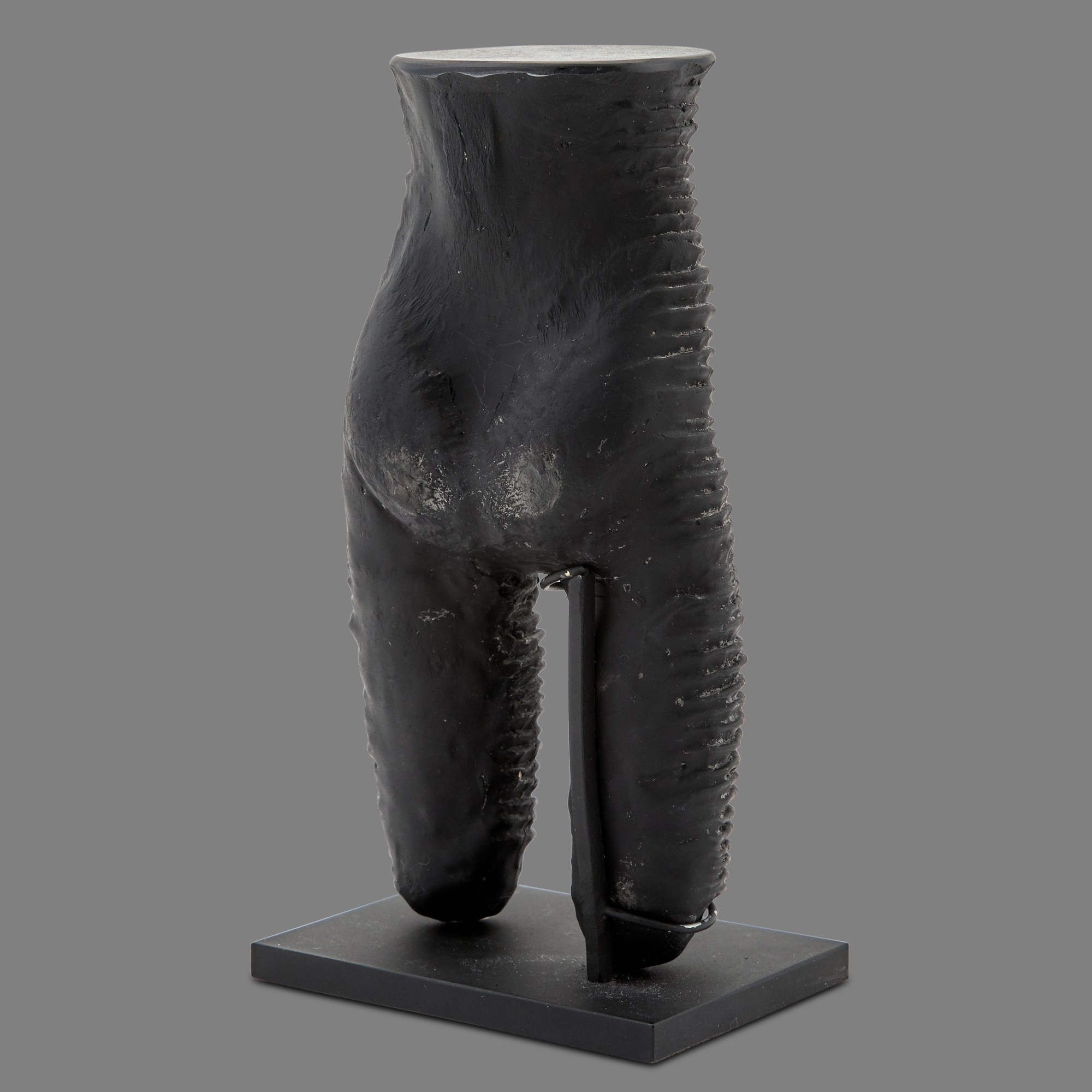 Michele Oka Doner | Torso (Prototype for Steuben Glass) | MutualArt