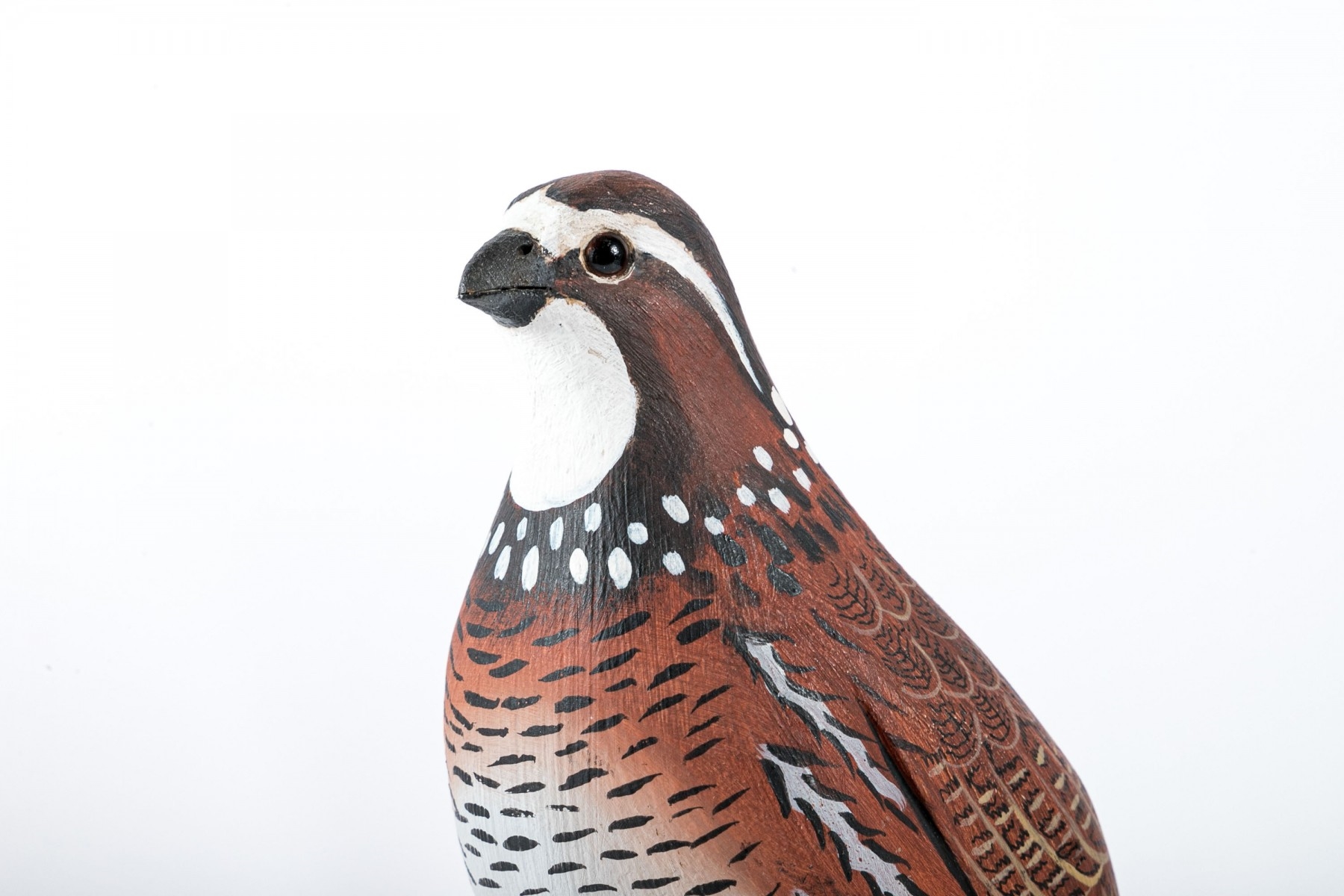 Jim White | Bob White Quail | MutualArt