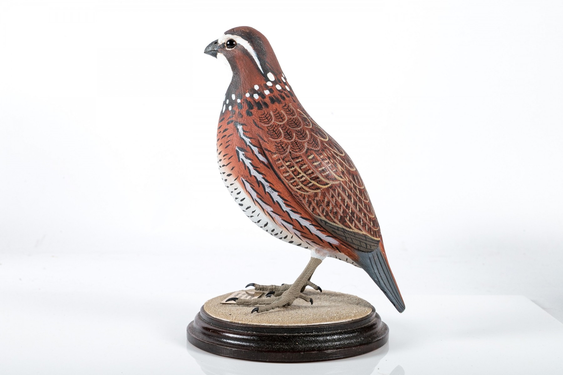 Jim White | Bob White Quail | MutualArt