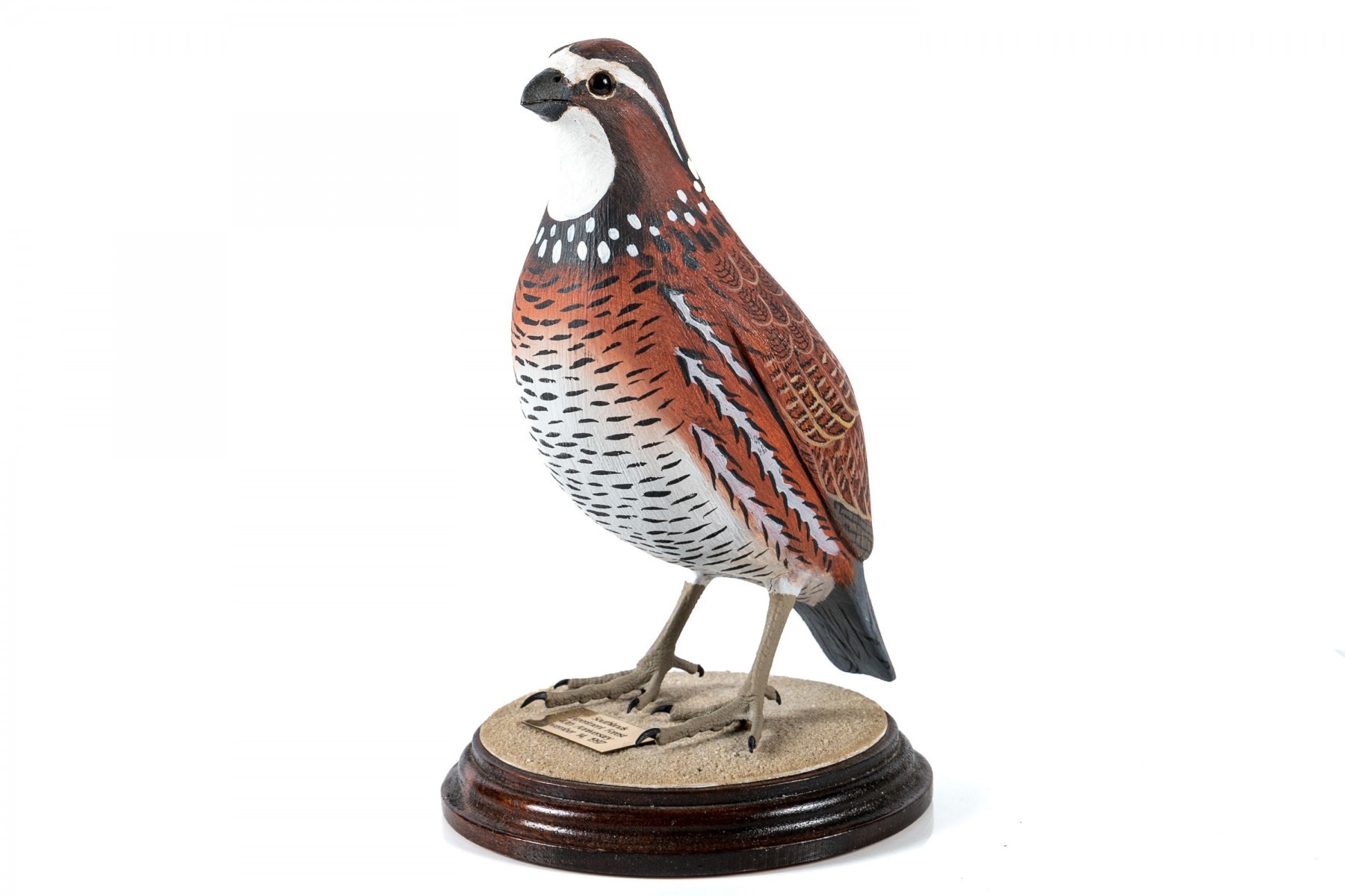 Jim White | Bob White Quail | MutualArt