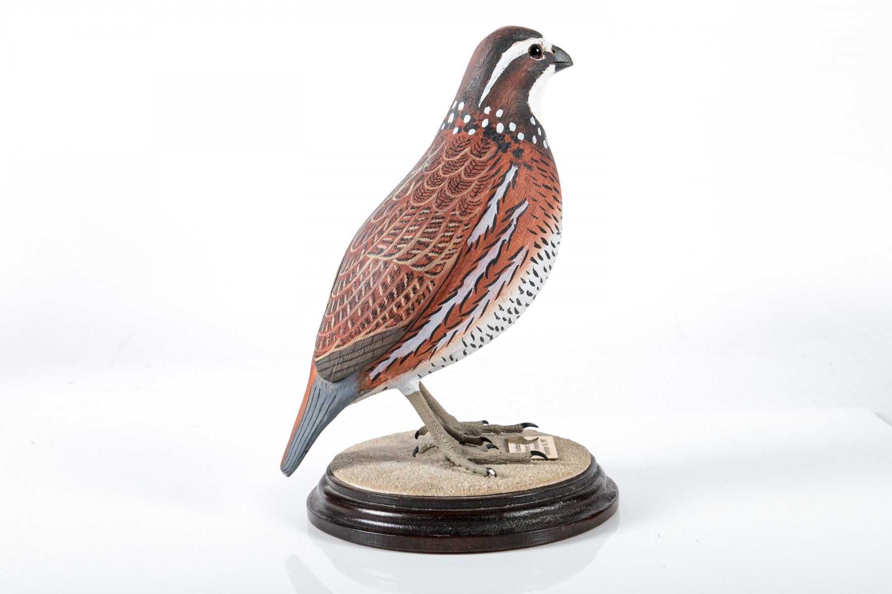 Jim White | Bob White Quail | MutualArt