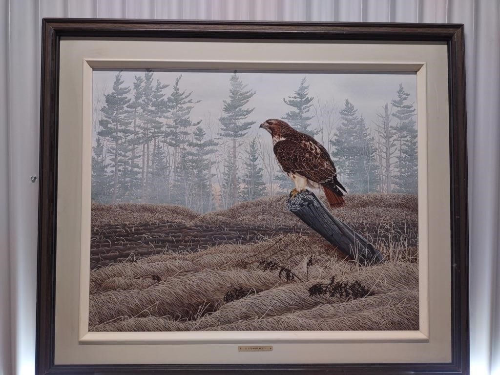 Gerald Stewart Heath | Red Tail Hawk | MutualArt