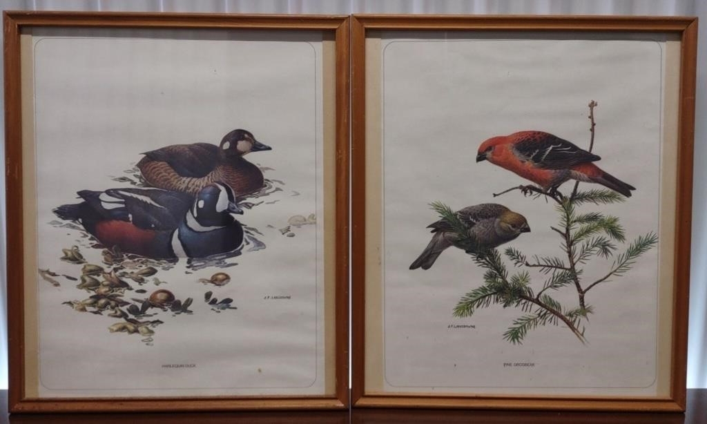 James Fenwick Lansdowne | 2 Landowsne Nature Art Print | MutualArt