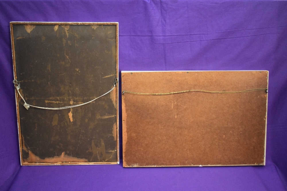 Thomas Tayler Ireland | Birch Trees | MutualArt