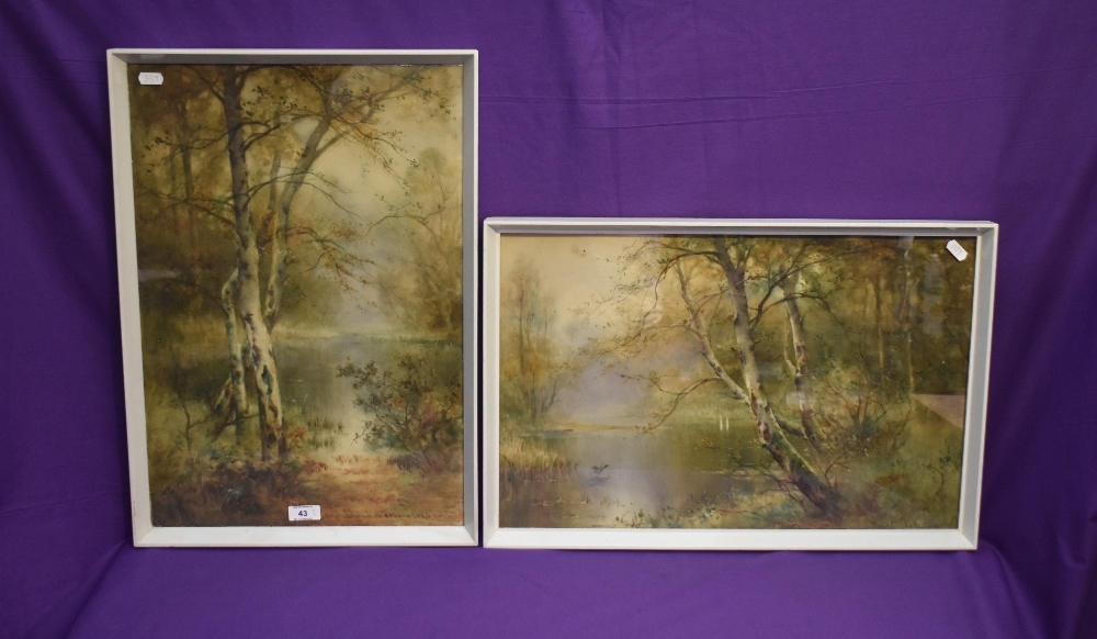 Thomas Tayler Ireland | Birch Trees | MutualArt