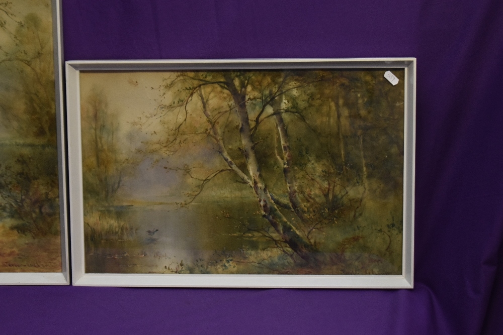 Thomas Tayler Ireland | Birch Trees | MutualArt