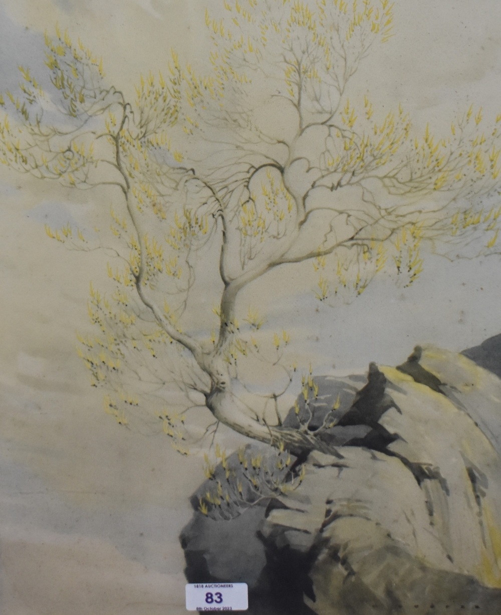 William Heaton Cooper | Young Ash In Spring | MutualArt