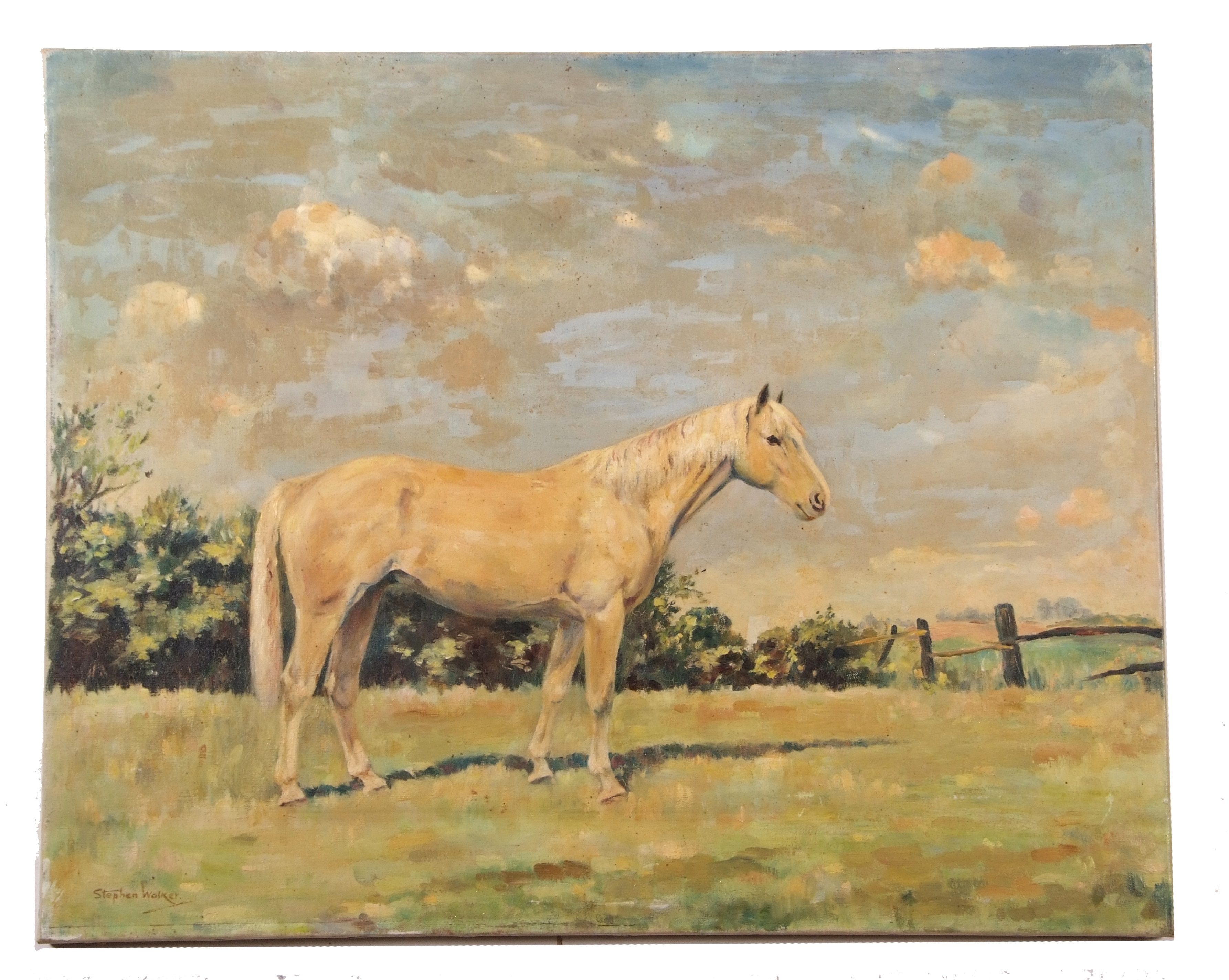 Stephen Walker | Cream Cracker | MutualArt