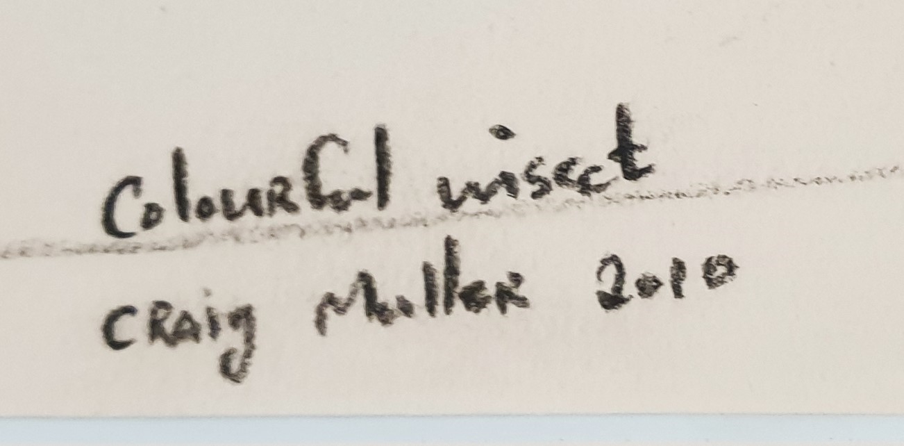 Craig Muller | Colourful Insect (2010) | MutualArt