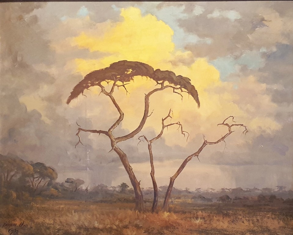Hennie Uys | Umbrella Thorn with Approaching Storm Clouds (1972 ...