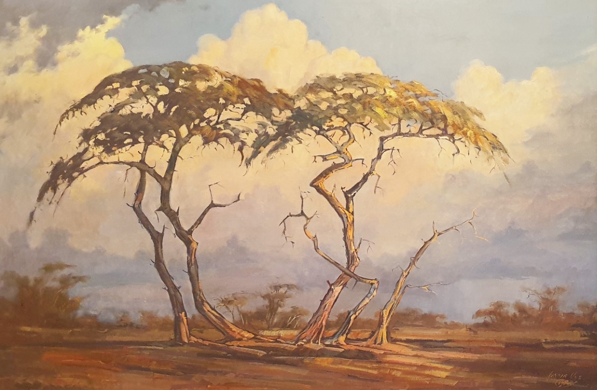 Hennie Uys | Umbrella Thorns in Landscape (1970) | MutualArt