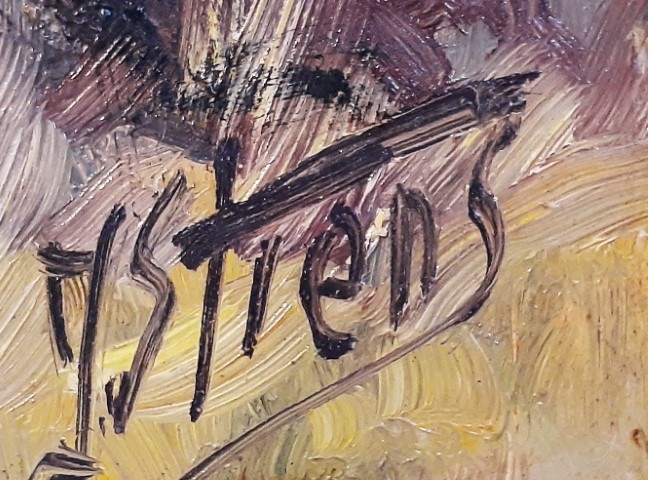 Joseph Stiens | Doring Boom in Namibia | MutualArt