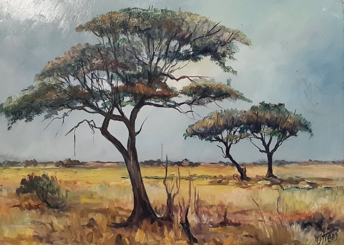 Joseph Stiens | Doring Boom in Namibia | MutualArt