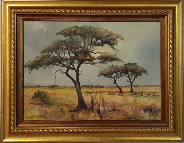 Joseph Stiens | Doring Boom in Namibia | MutualArt