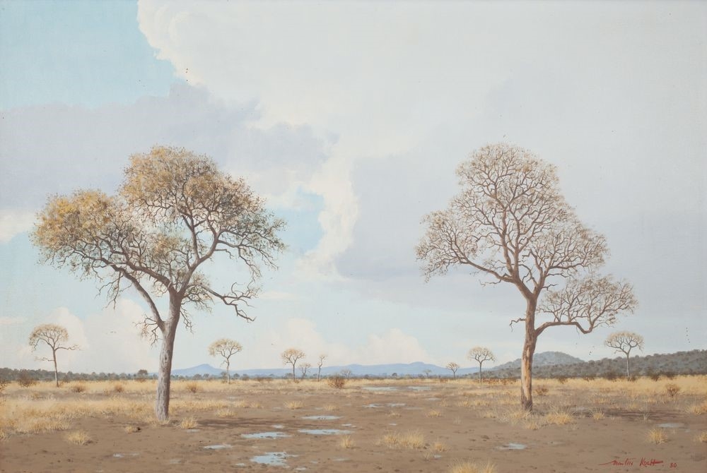 Marthinus Stephanus Koch | Bushveld after the rain (1980) | MutualArt