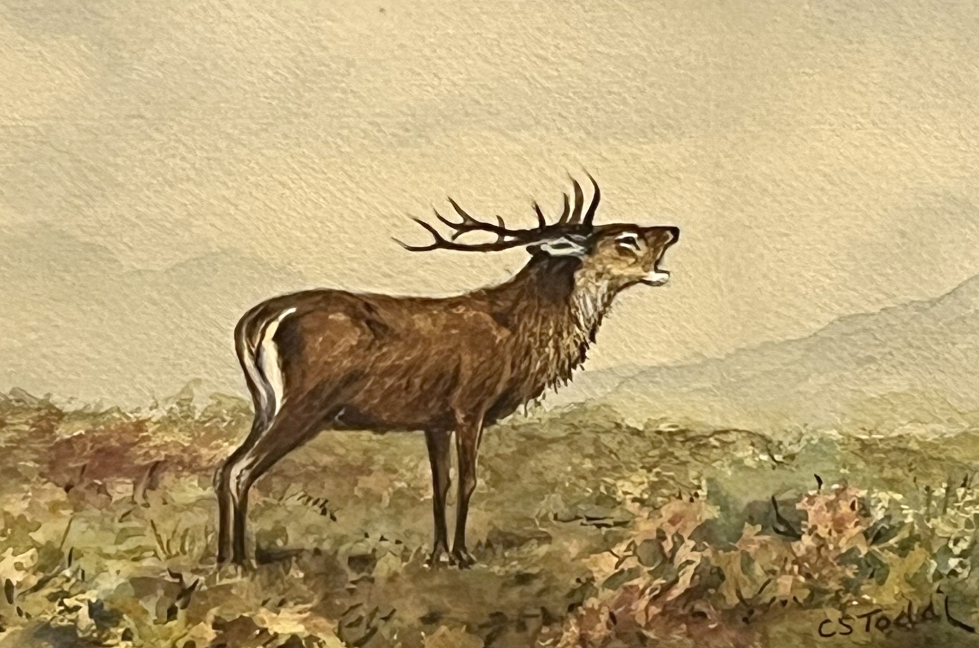 Charles Stanley Todd | Charles Stanley Todd (British | MutualArt