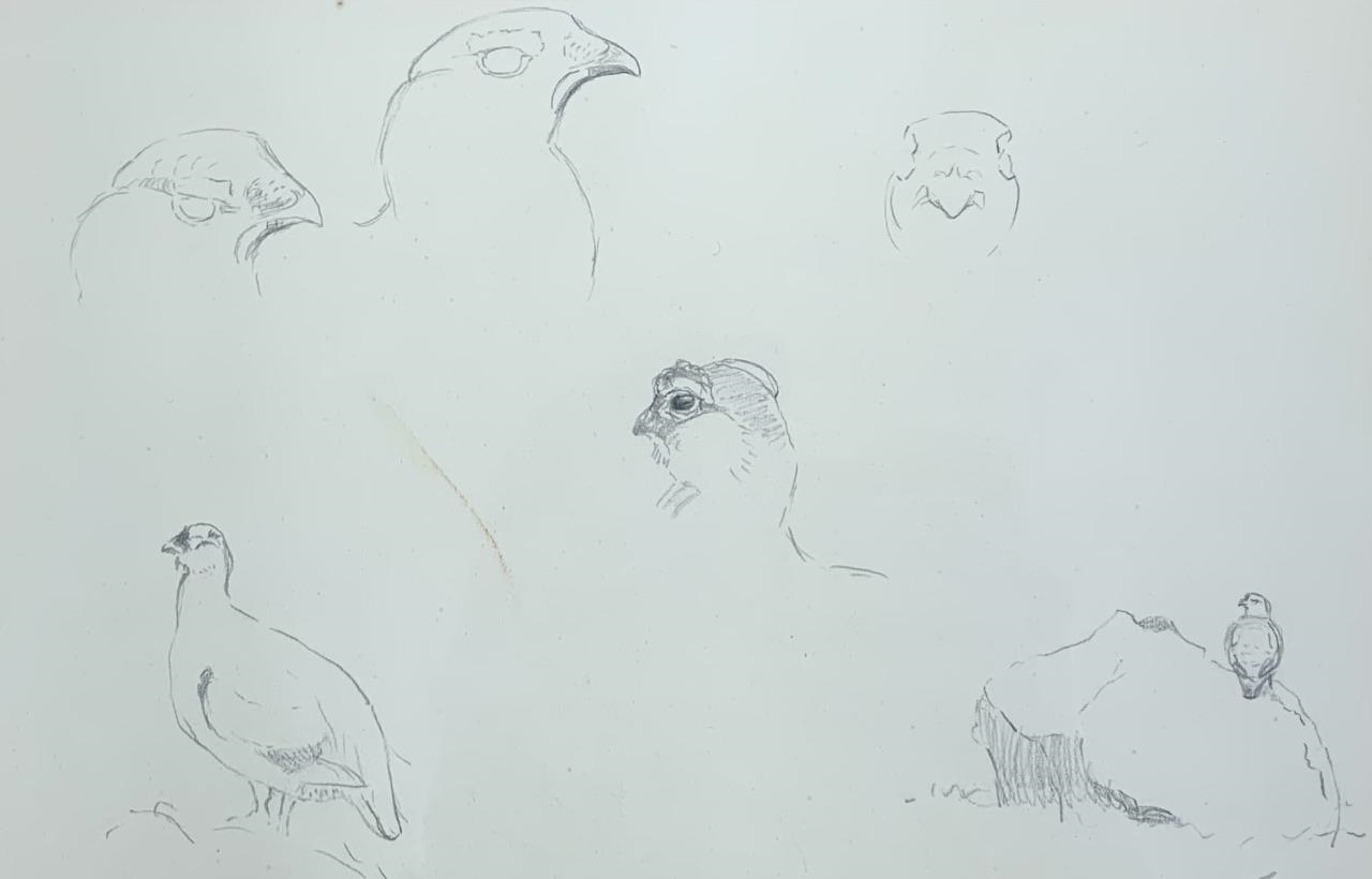 Charles Stanley Todd | Charles Stanley Todd (British | MutualArt