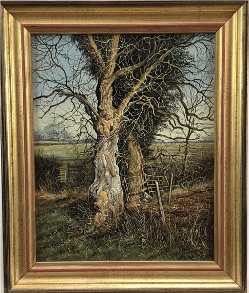 Edward Stamp | Old ash tree | MutualArt