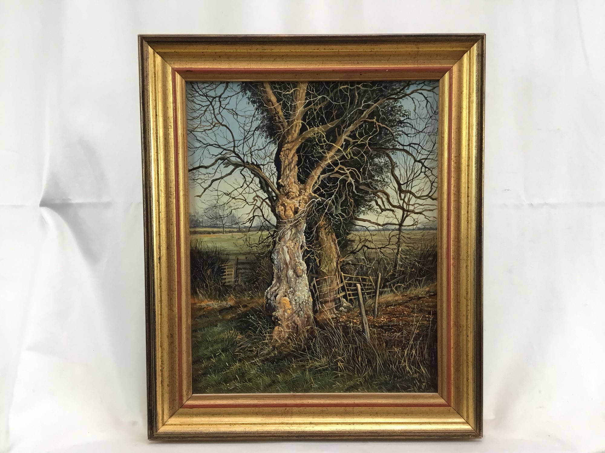 Edward Stamp | Old ash tree | MutualArt