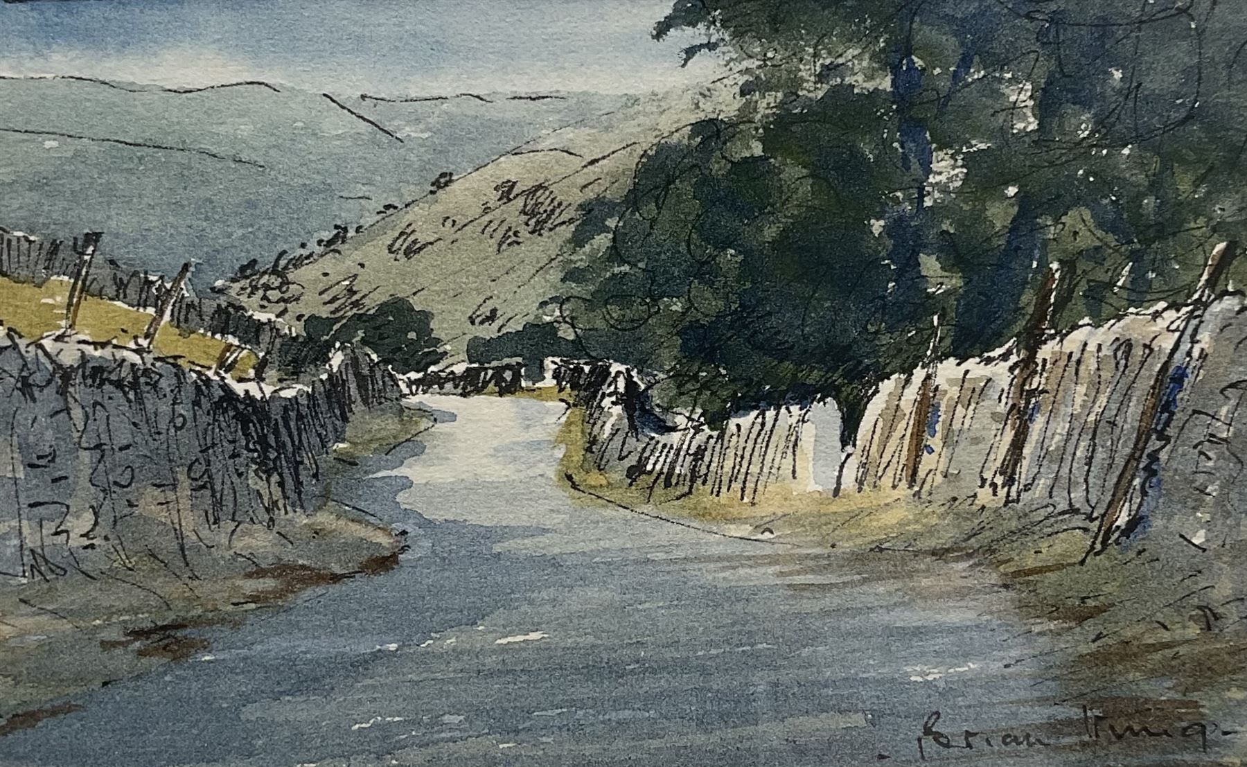 Brian Irving | Dales Lane | MutualArt