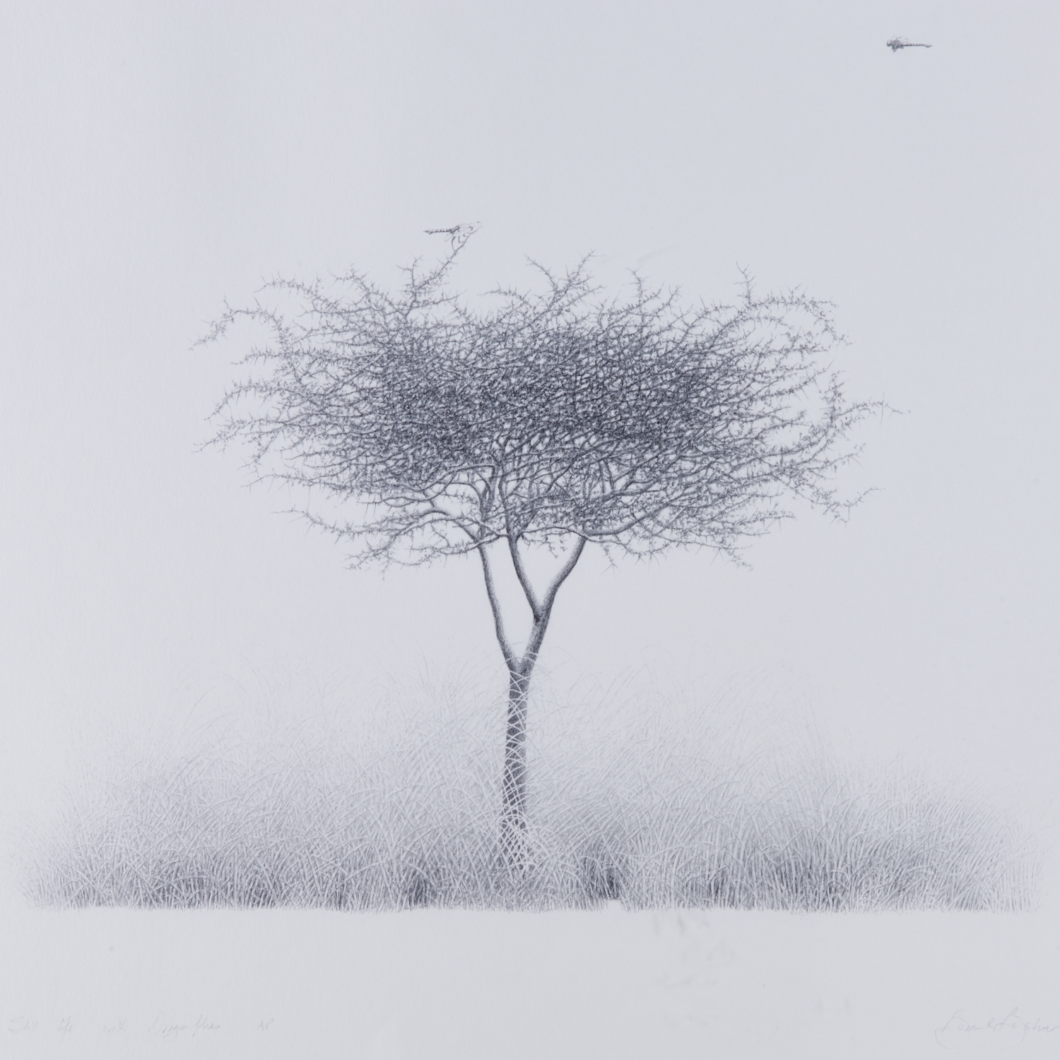 Bowen Boshier | Still Life with Crows and Still Life with Dragonflies ...