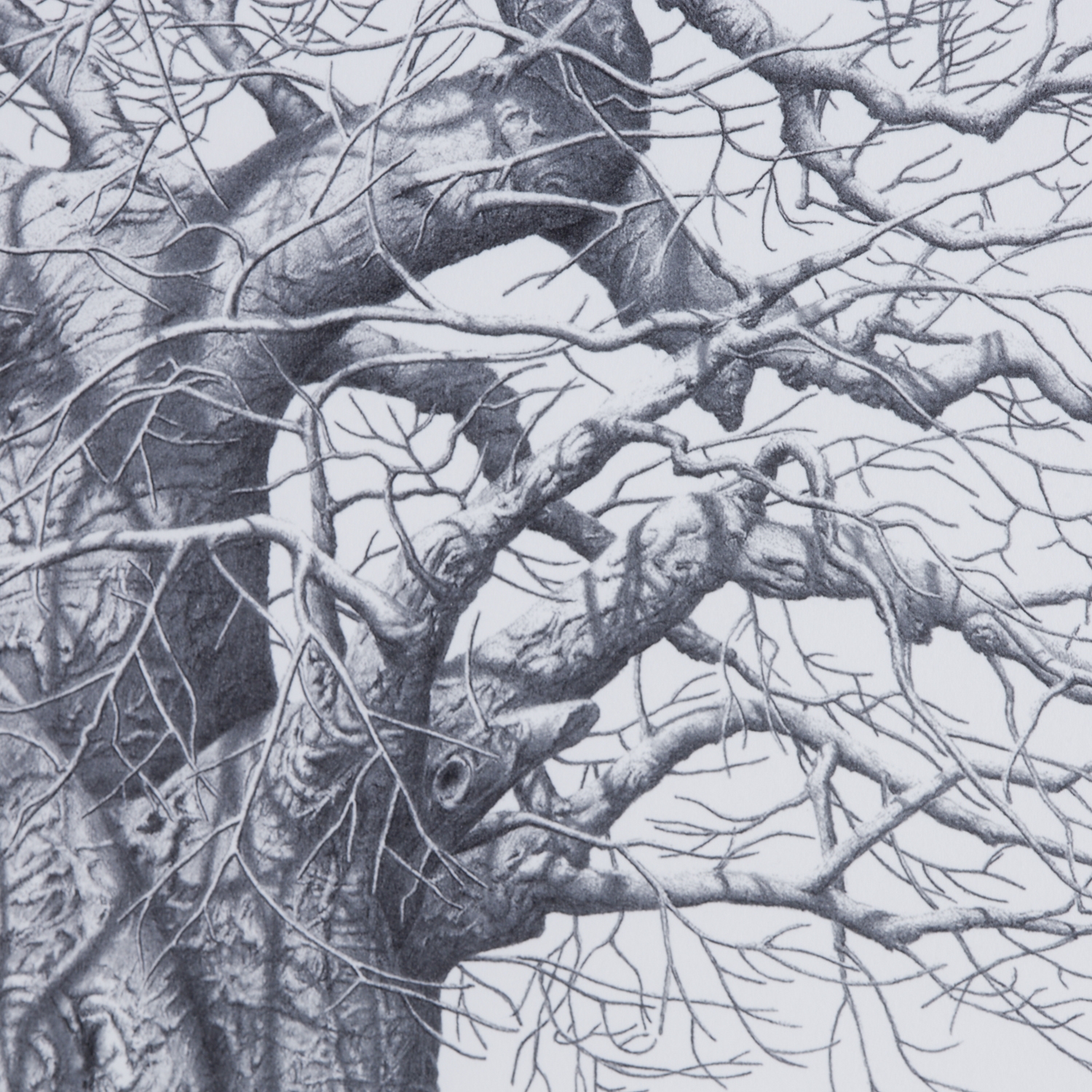 Bowen Boshier | Still Life with Bushbuck; Still Life with Warthog (1964 ...