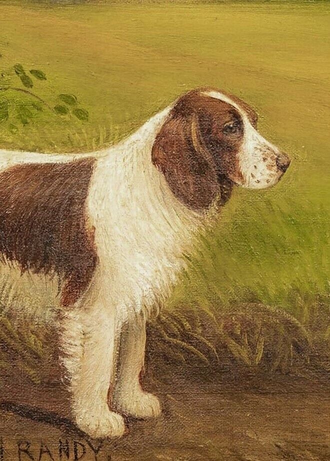 Henry Crowther | PORTRAIT OF WELSH RANDY AND WISH SPRINGER SPANIEL ...